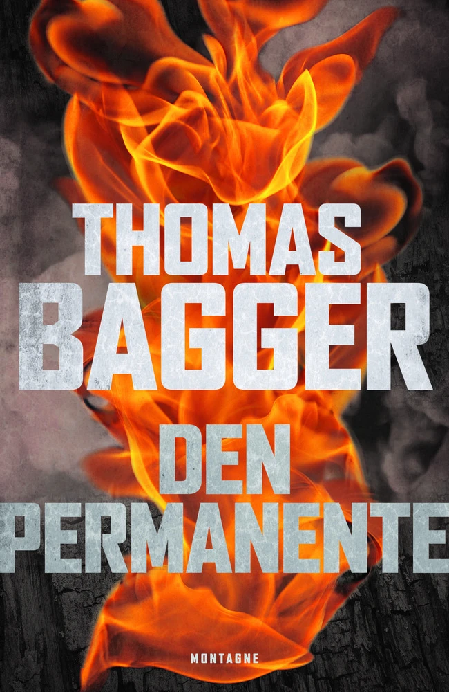 Den Permanente af Thomas Bagger | Bog & idé