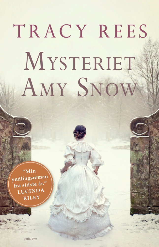 Mysteriet Amy Snow af Tracy Rees | Bog & idé