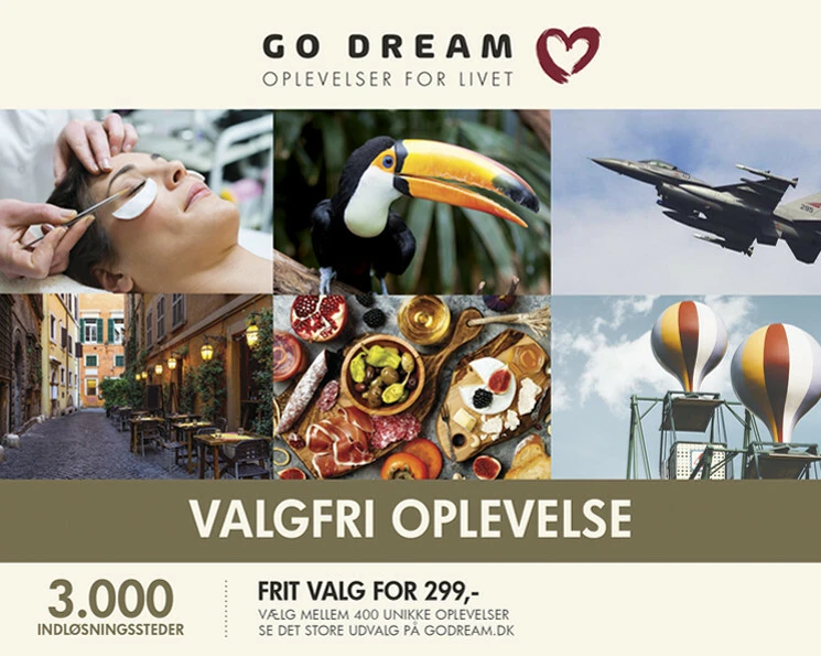 GO DREAM Valgfri oplevelse 299- | GO DREAM | Bog & idé