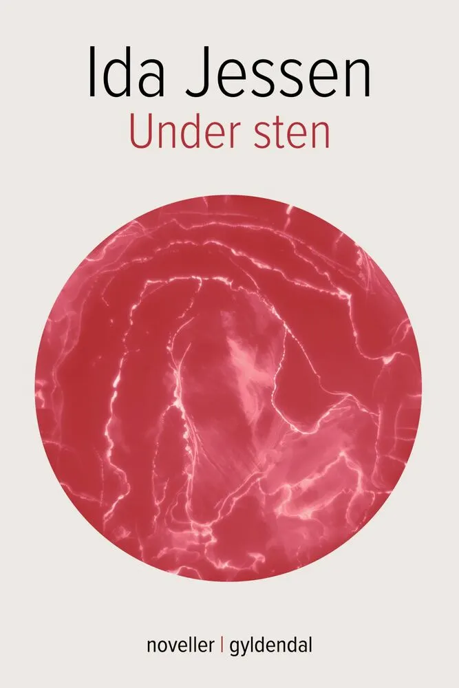 Under sten af Ida Jessen | Bog & idé
