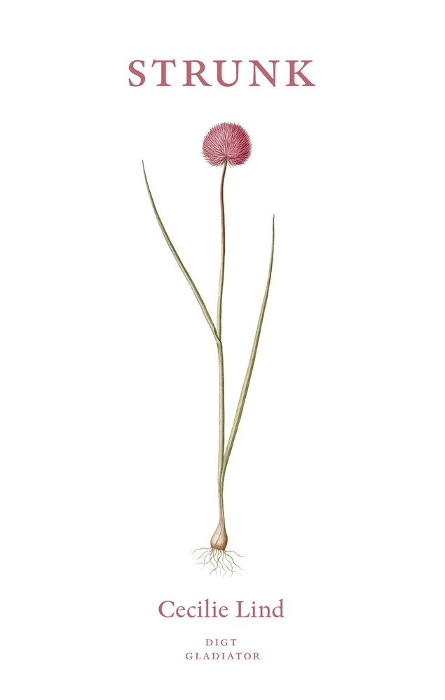 Strunk af Cecilie Lind | Bog & idé