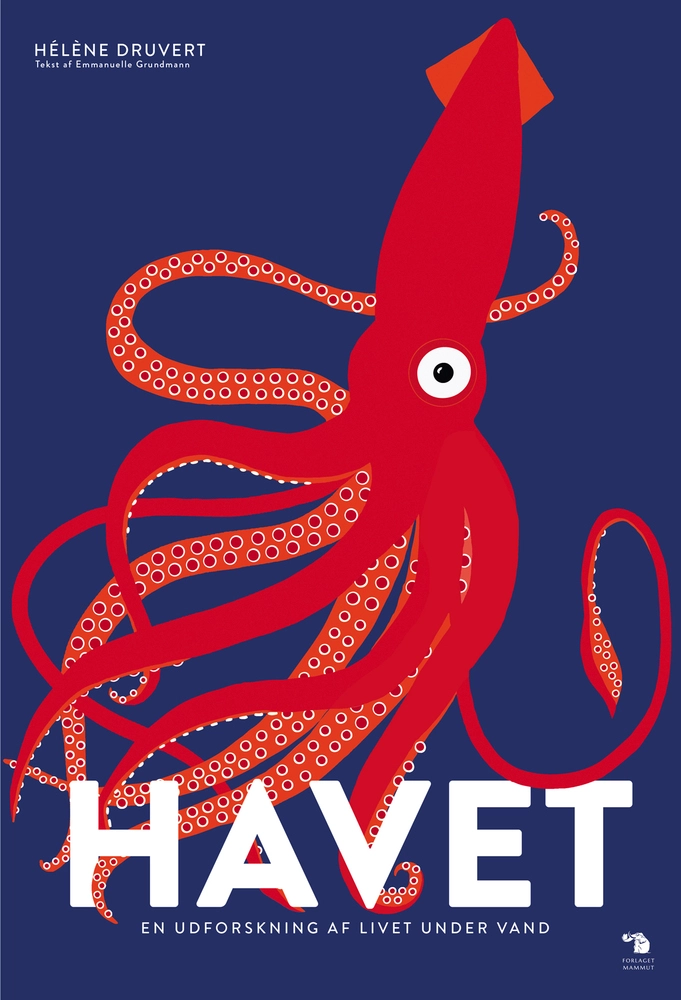 Havet af Hélène Druvert og Emmanuelle Grundmann,Hélène Druvert ...