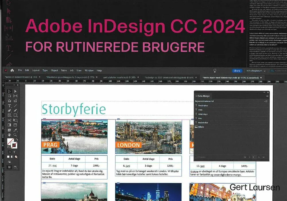 Adobe InDesign 2024 for rutinerede brugere af Gert Laursen | Bog & idé