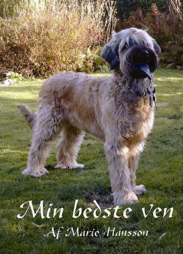 Min bedste ven af Maria Hansson,Marie Hansson | 9788790828233 | Bog & idé