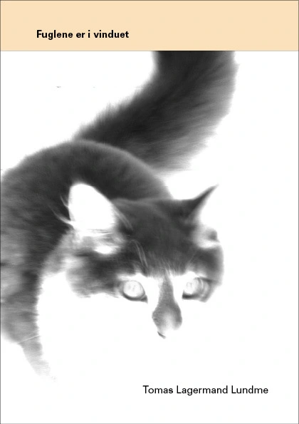 Fuglene er i vinduet af Tomas Lagermand Lundme | Bog & idé