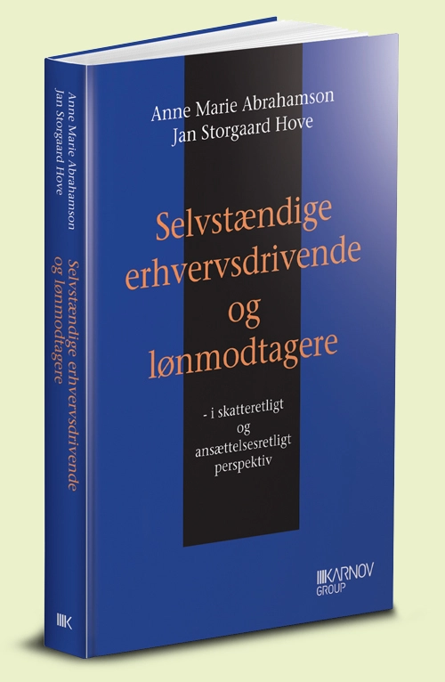 Selvstændige erhvervsdrivende af Anne Marie Abrahamson,Jan Storgaard ...