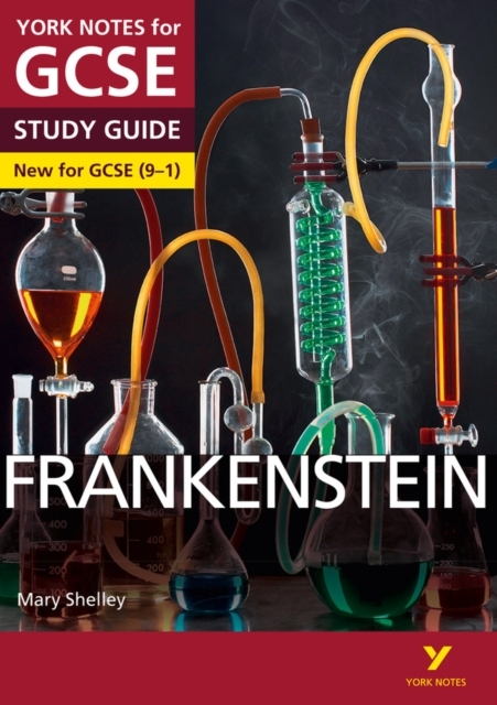 Frankenstein York Notes For Gcse - Everything You Need To S af ...