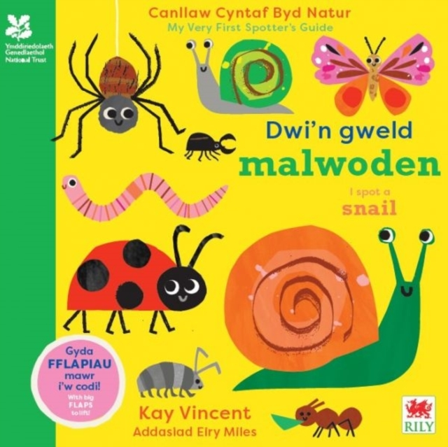 DwiN Gweld Malwoden I Spot A Snailcanllaw Cyntaf Byd Natu af Kay ...