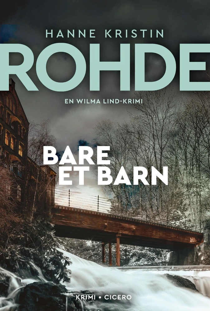 Bare et barn af Hanne Kristin Rohde | Bog & idé