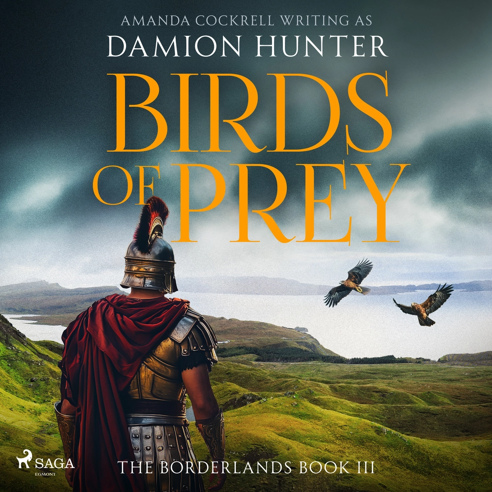 Birds of Prey af Damion Hunter | Bog & idé