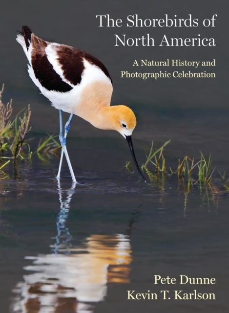 The Shorebirds of North America af Kevin T. Karlson,Pete Dunne | Bog & idé