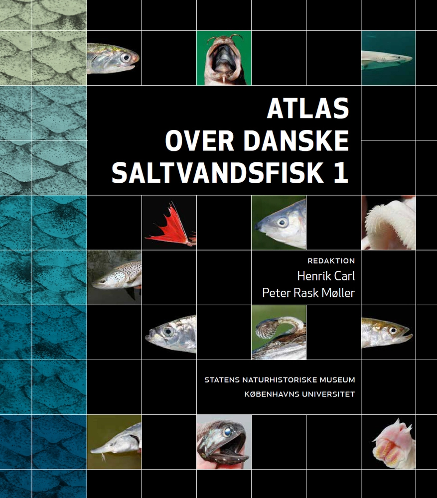 Atlas over danske saltvandsfisk af Redaktion Henrik Carl & Peter Rask ...